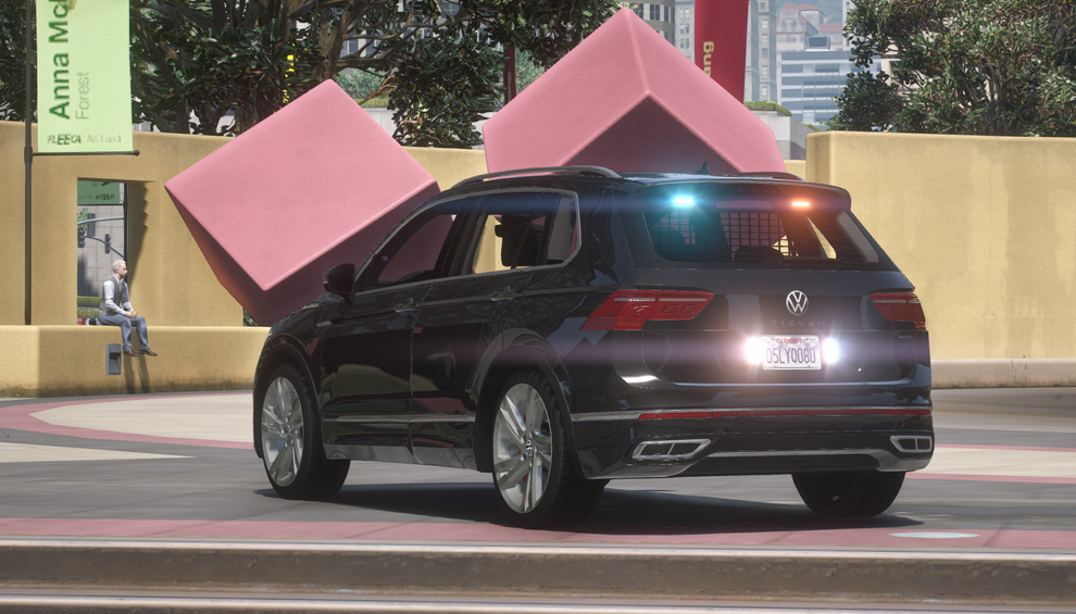 Non-ELS 2022 Volkswagen Tiguan UNMARKED – PolyFex